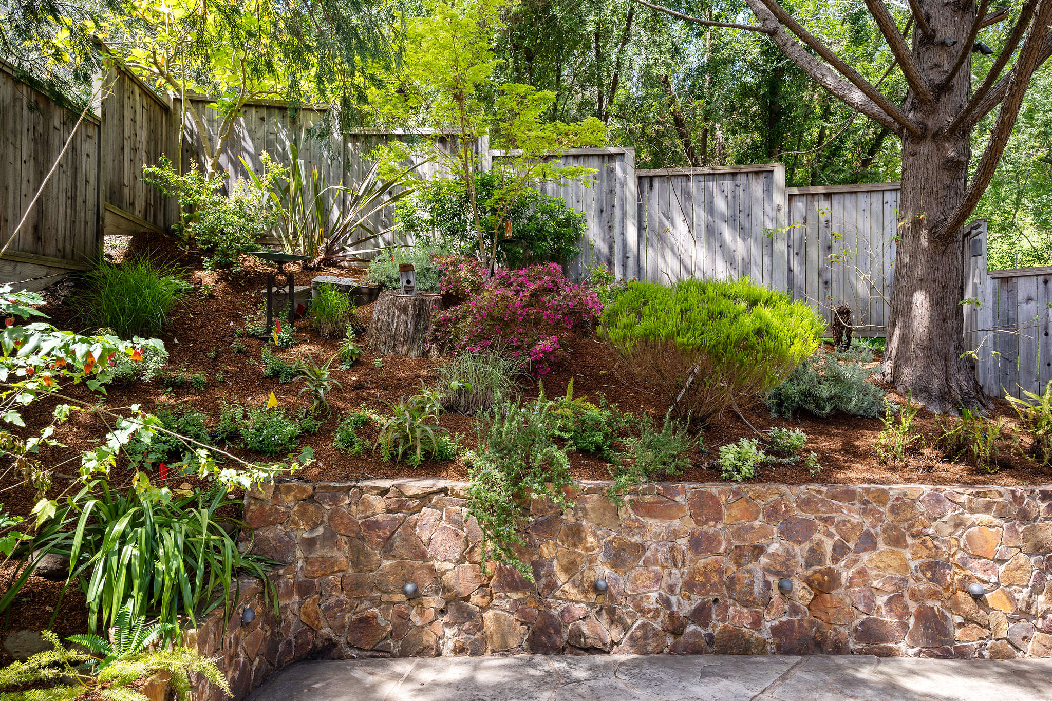 1021 Erica Road, Mill Valley - Presented by The Golden Gate Group ...