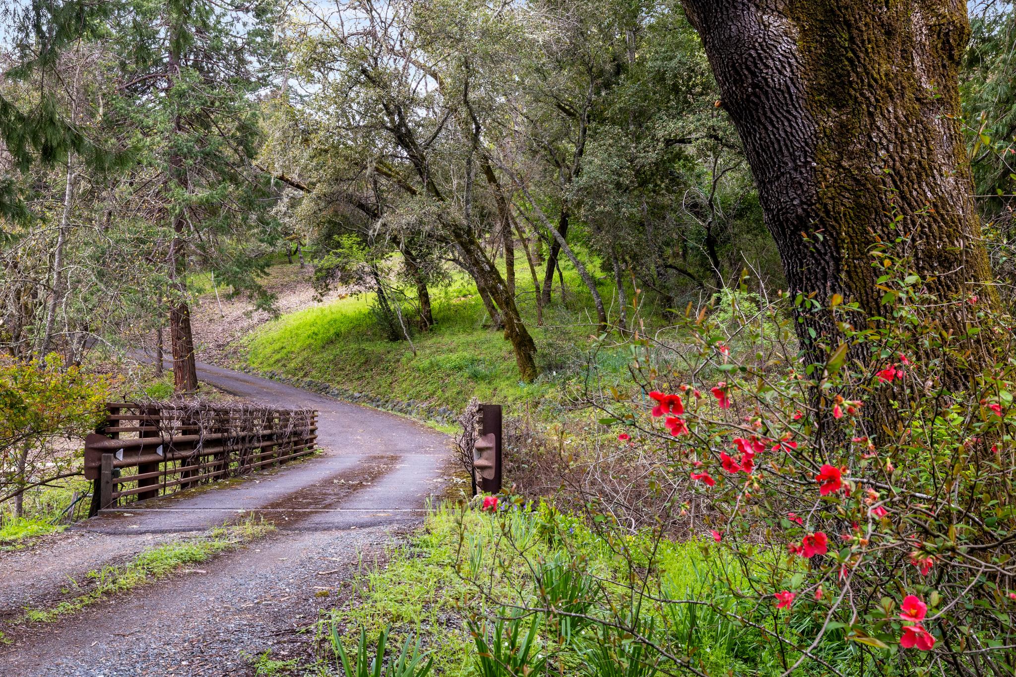 3097 Foothill Boulevard presented by Brian Durnian