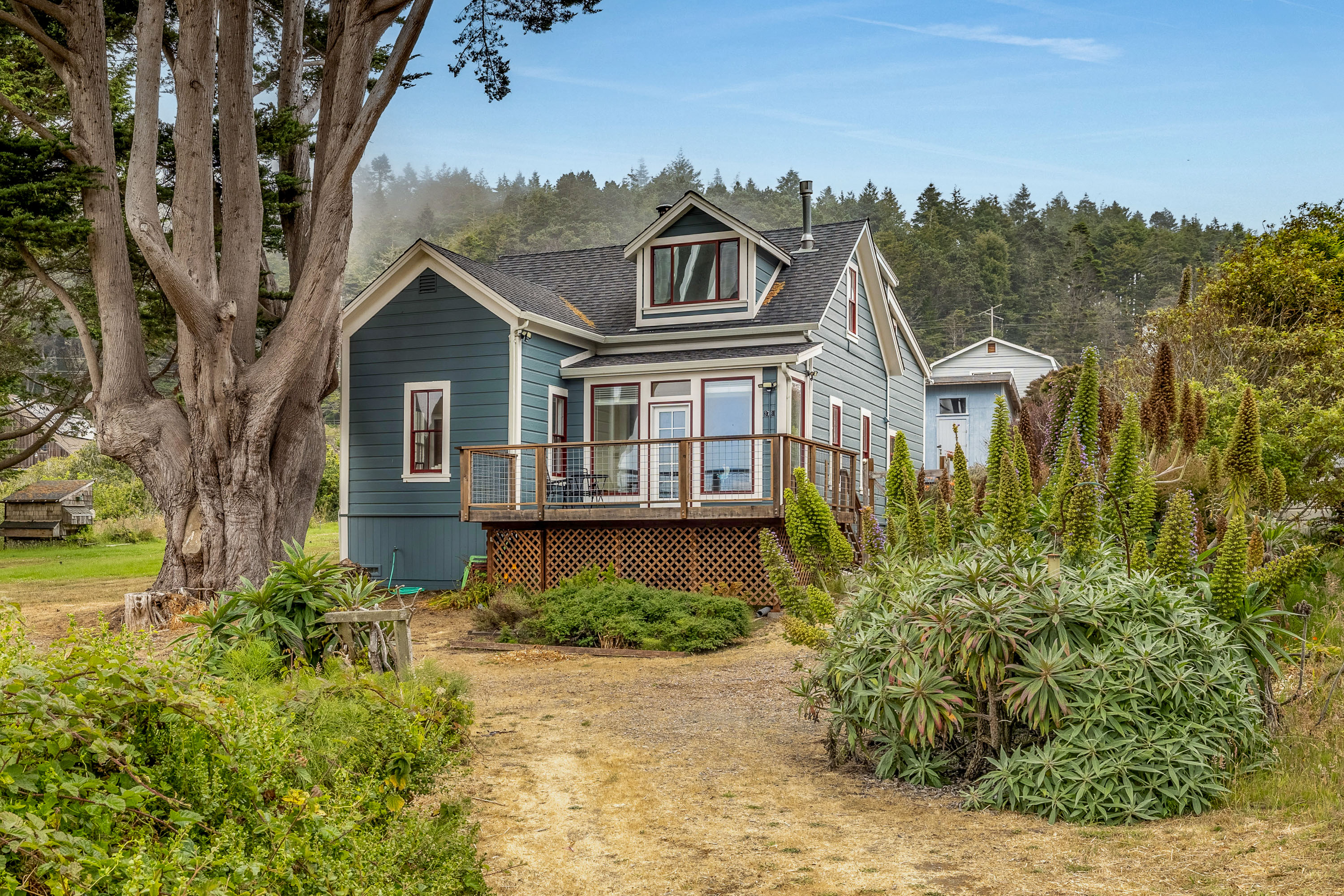 3781 Highway 1 presented by Sarah Schoeneman